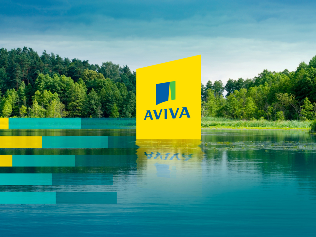 Voir le projet Aviva France - Welko
